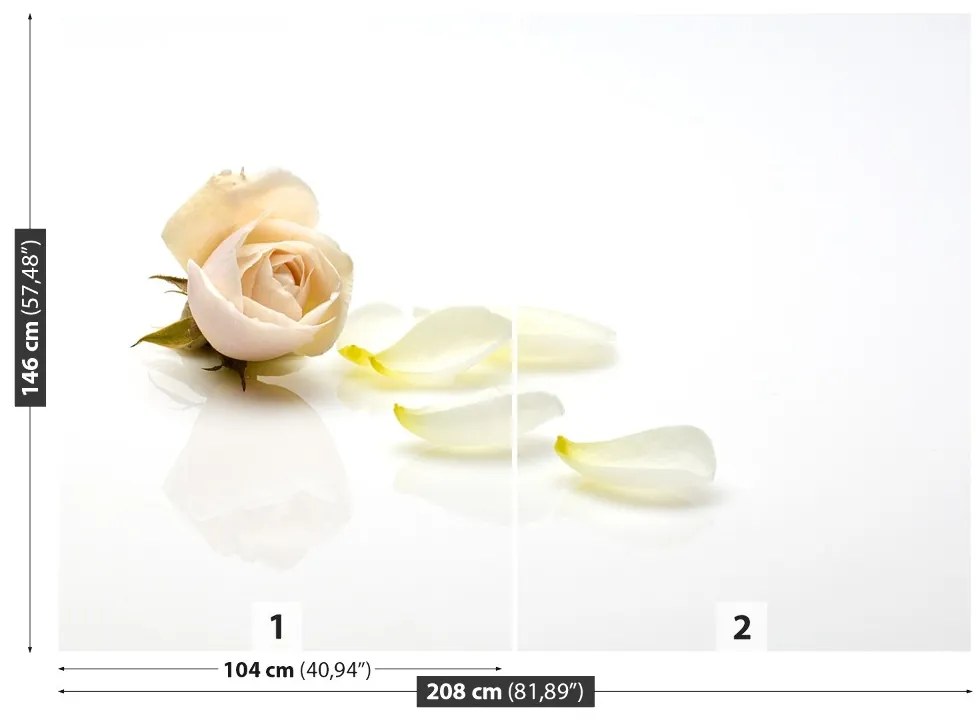 Fototapeta Růžová růže 104x70