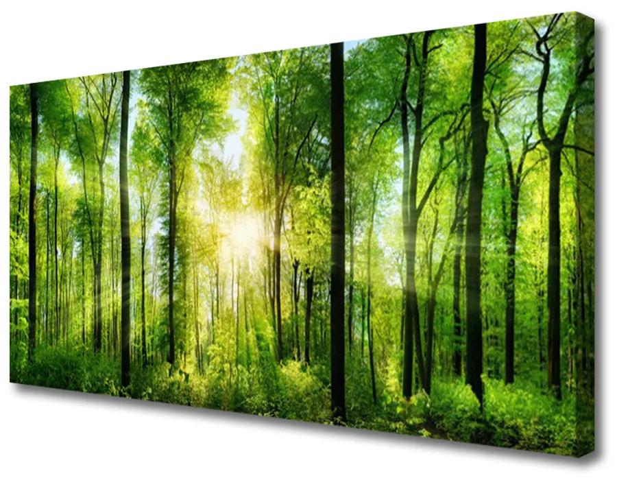 Obraz na plátně Les Příroda 140x70 cm