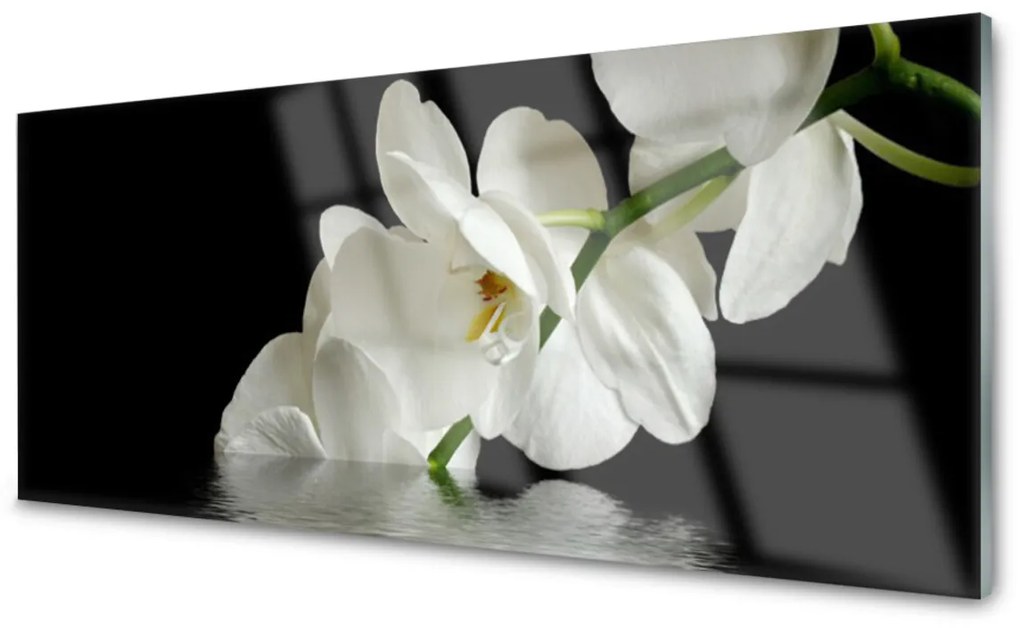 Skleněný obraz Orchidej ve Vodě Květiny