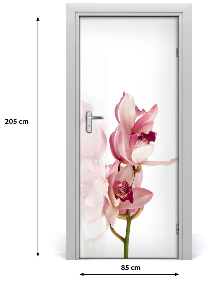 Fototapeta na dveře Růžová orchidej 85x205 cm