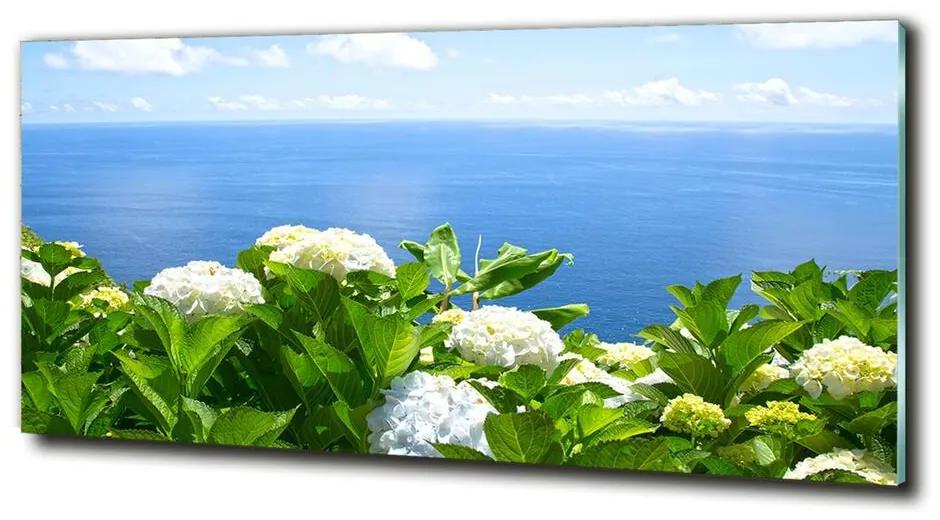 Wallmuralia Foto obraz sklo tvrzené Květiny nad mořem 125x50 cm