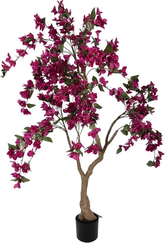 Stromek s růžovými květy Bougainvillea Tree - 100*100*150 cm