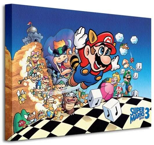Obraz na plátně Nintendo Super Mario Bros 3 (Art) 40x30cm WDC92393