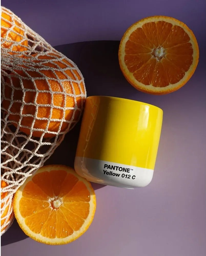 Žlutý porcelánový šálek na cappuccino 175 ml Yellow 012 – Pantone