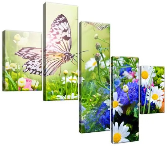 Obraz na plátně Motýli a květiny v krásné zahradě 100x75cm 2220A_5K