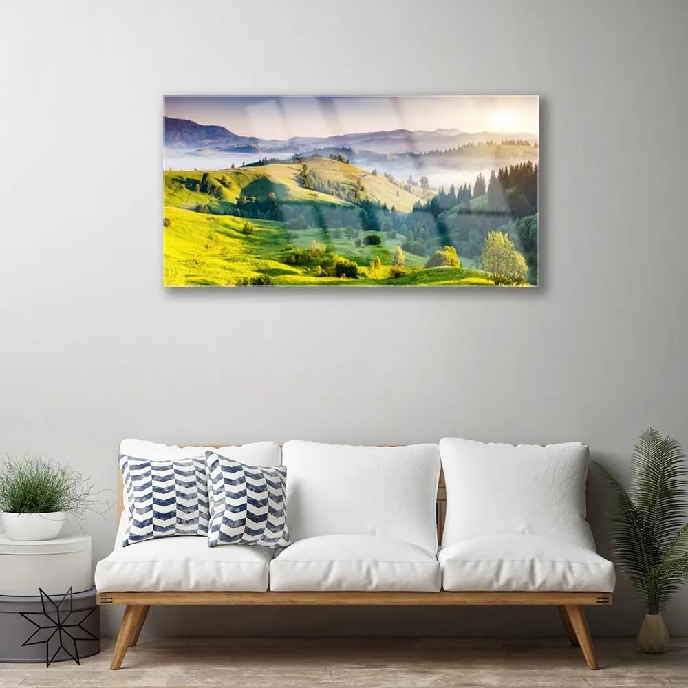 Obraz na skle Hora Pole Mlha Příroda 140x70 cm