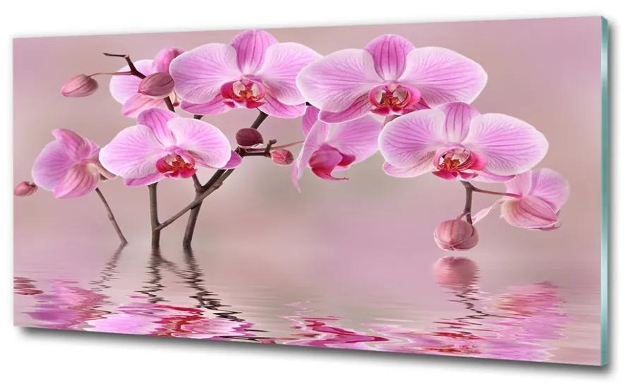 Wallmuralia Moderní foto obraz na stěnu Růžová orchidej 100x50