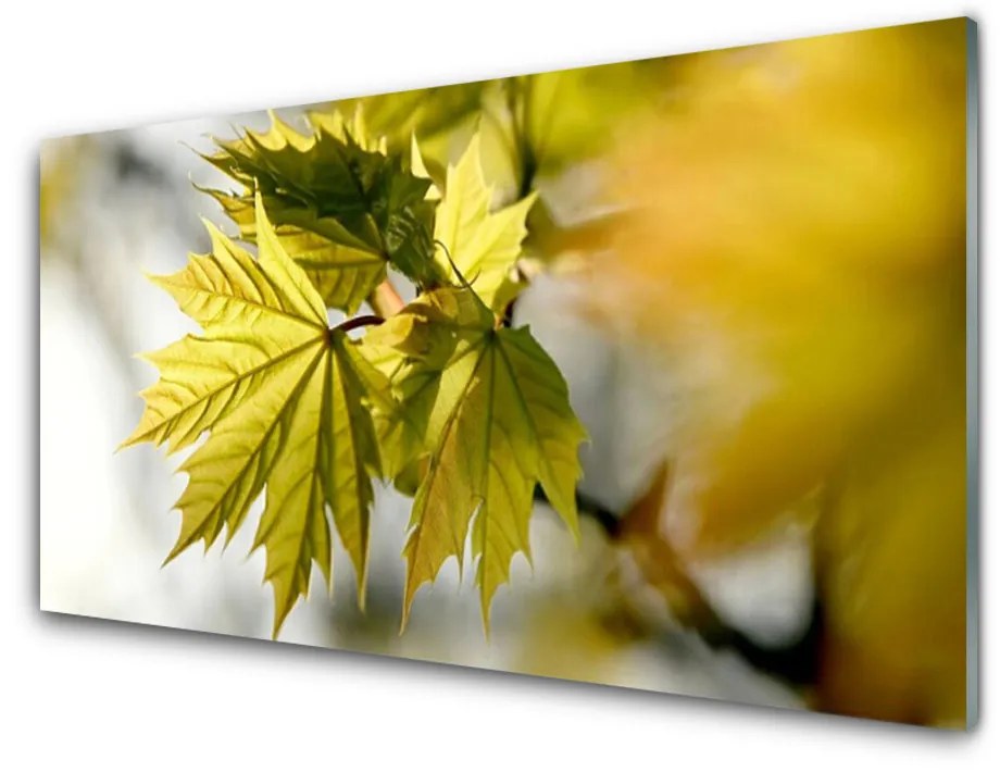 Obraz na skle Listy Rostlina 120x60 cm