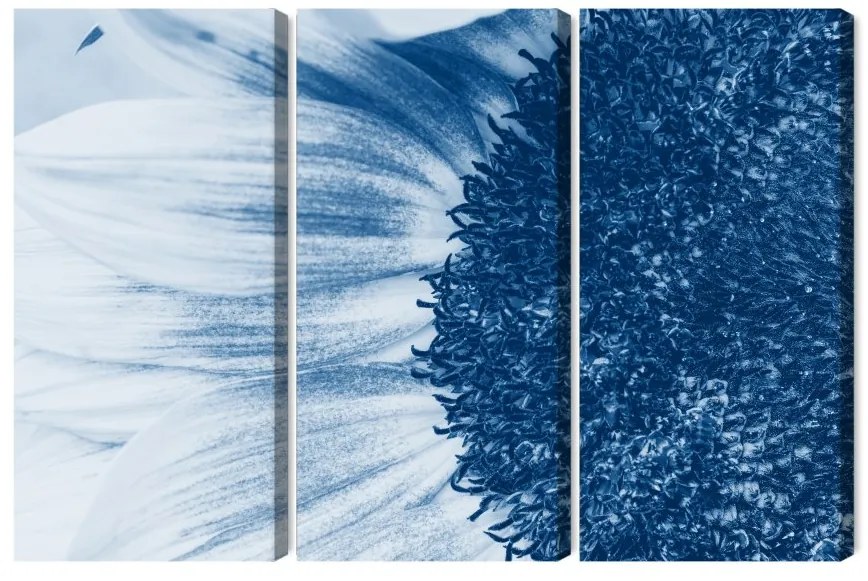 Vícedílný obraz Modrá Slunečnice V Makro Měřítku Nedostatek Nedostatek Plátno Canvas 180x120