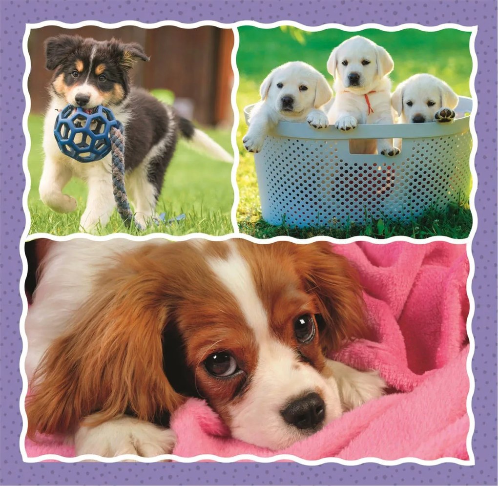 TREFL PUZZLE 3v1 Roztomilá štěňata 20x20cm skládačka 106 dílků tr34854