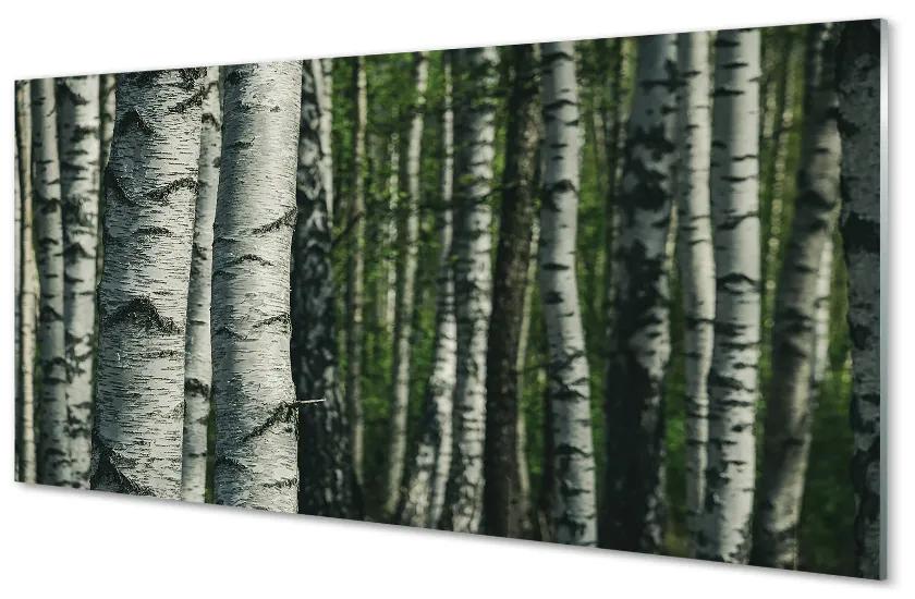 akrylový obraz březového lesa 125x50 cm