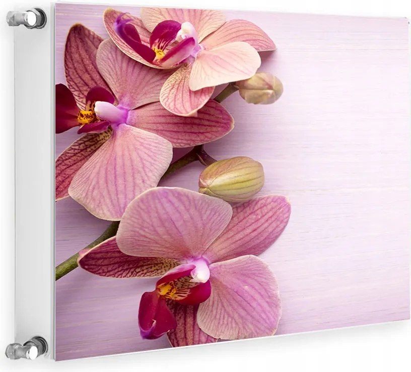 Magnetická Krytka Na Radiátor 60x60 Orchidej Fototapeta