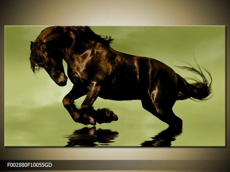 Obraz černého koně na zeleném pozadí  (), 40 dalších rozměrů