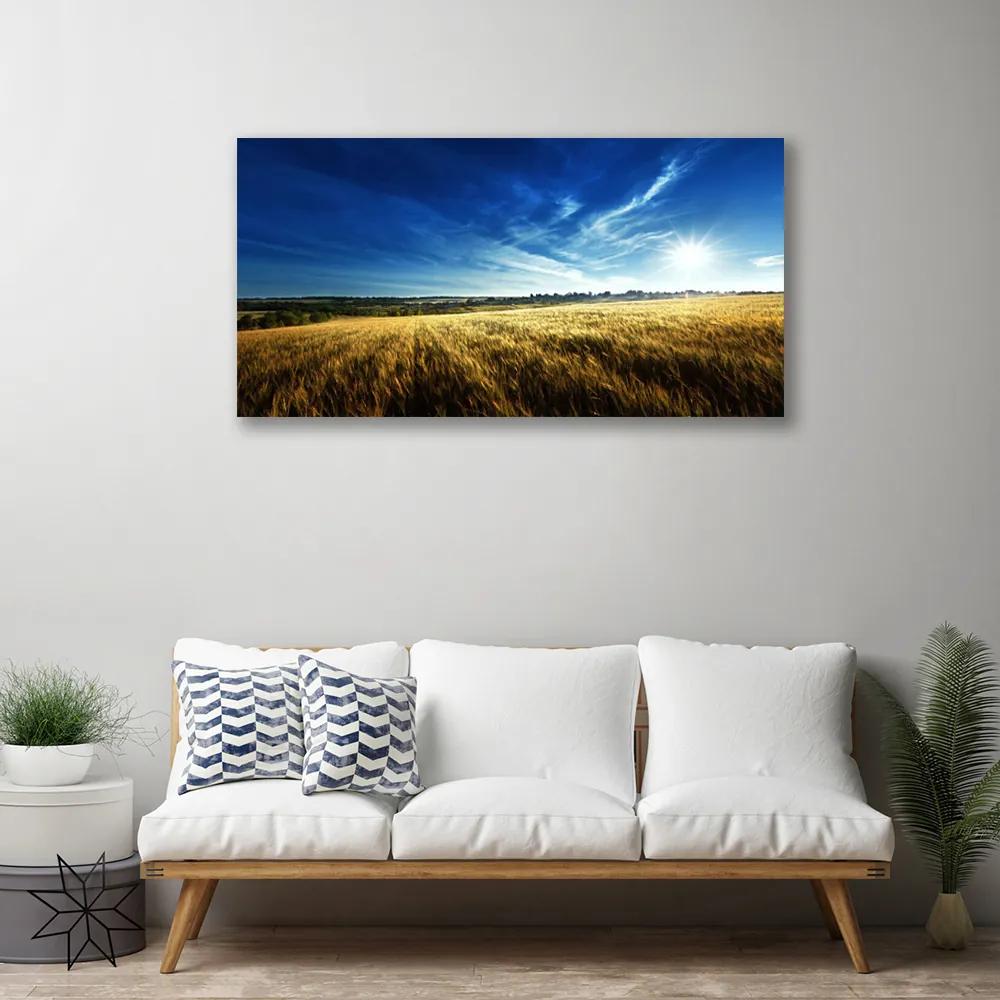 Obraz na plátně Pole Obilí Slunce Krajina 125x50 cm