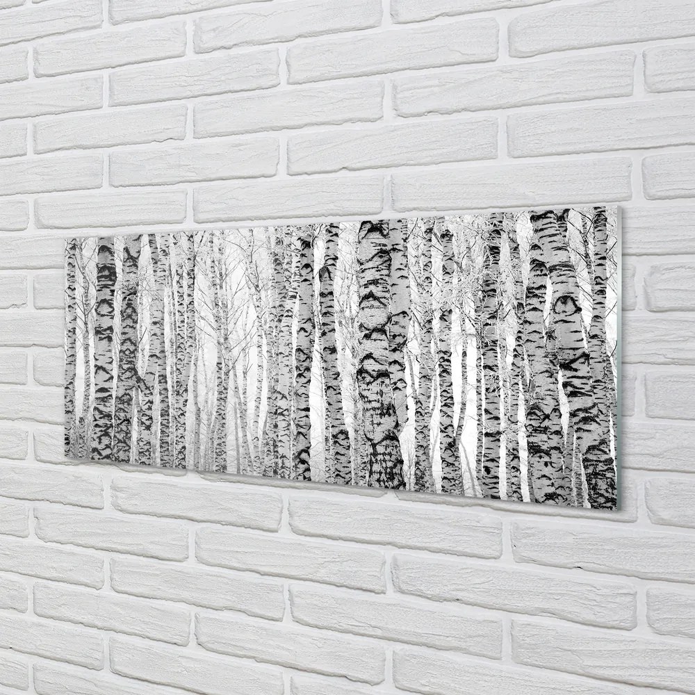 akrylový obraz Černá a bílá bříza 120x60 cm