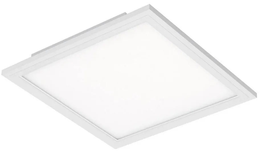 Briloner 7191-016 - LED Stropní svítidlo SIMPLE LED/12W/230V
