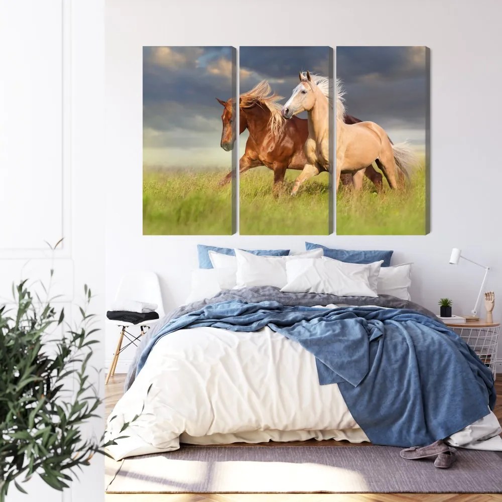 Vícedílný obraz Koně Cválající Na 3D Louce Nedostatek Nedostatek Přírodní plátno 150x100