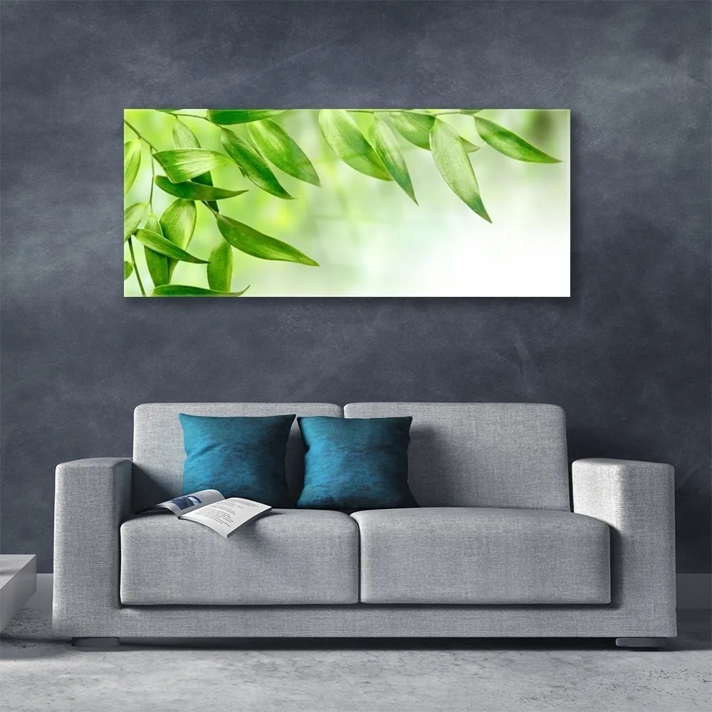 Plexisklo-obraz Zelené Listy Příroda 125x50 cm