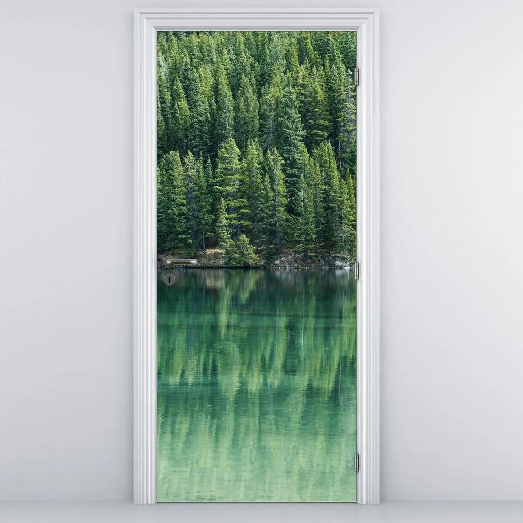 Fototapeta na dveře - Jehličnany u jezera (95x205cm)