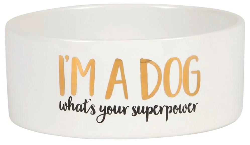 Sass & belle Keramická miska pro psa I'm a dog, bílá barva, zlatá barva, keramika
