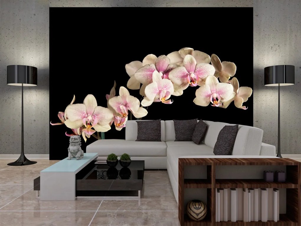 *Fototapeta -Orchidej na černé (250x193 cm) - Murando DeLuxe