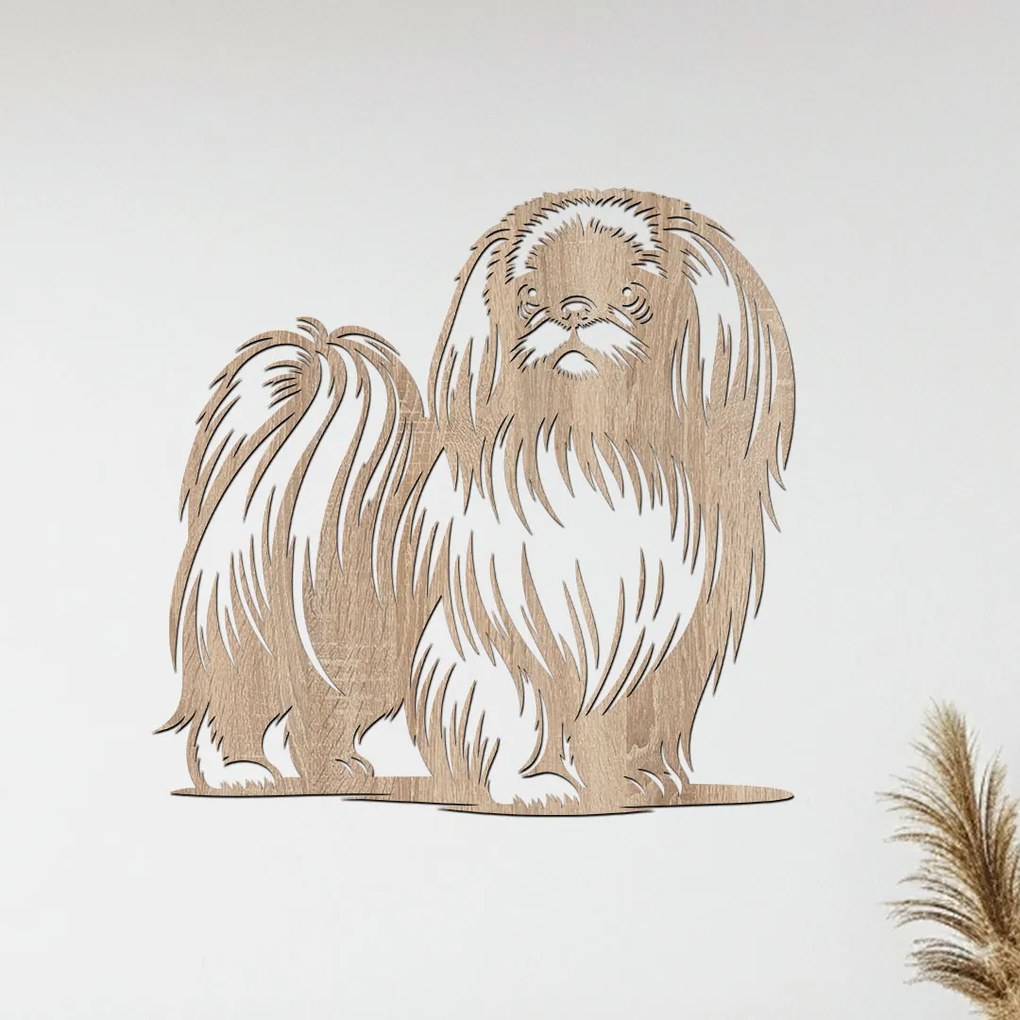 dřevo života Dřevěný obraz psa Pekingese Zvolte rozměr (cm): 40x39, Zvolte barvu dekoru: Ořech