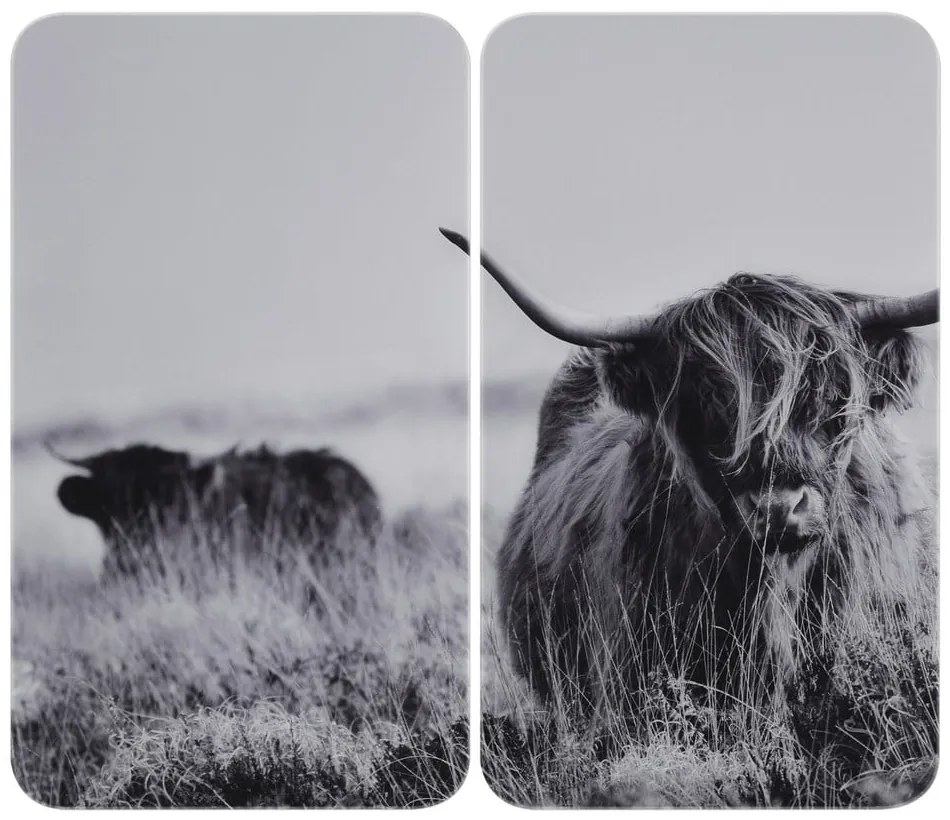 Kryty na sporák v sadě 2 ks z tvrzeného skla 30x52 cm Universal Highland Cattle – Wenko