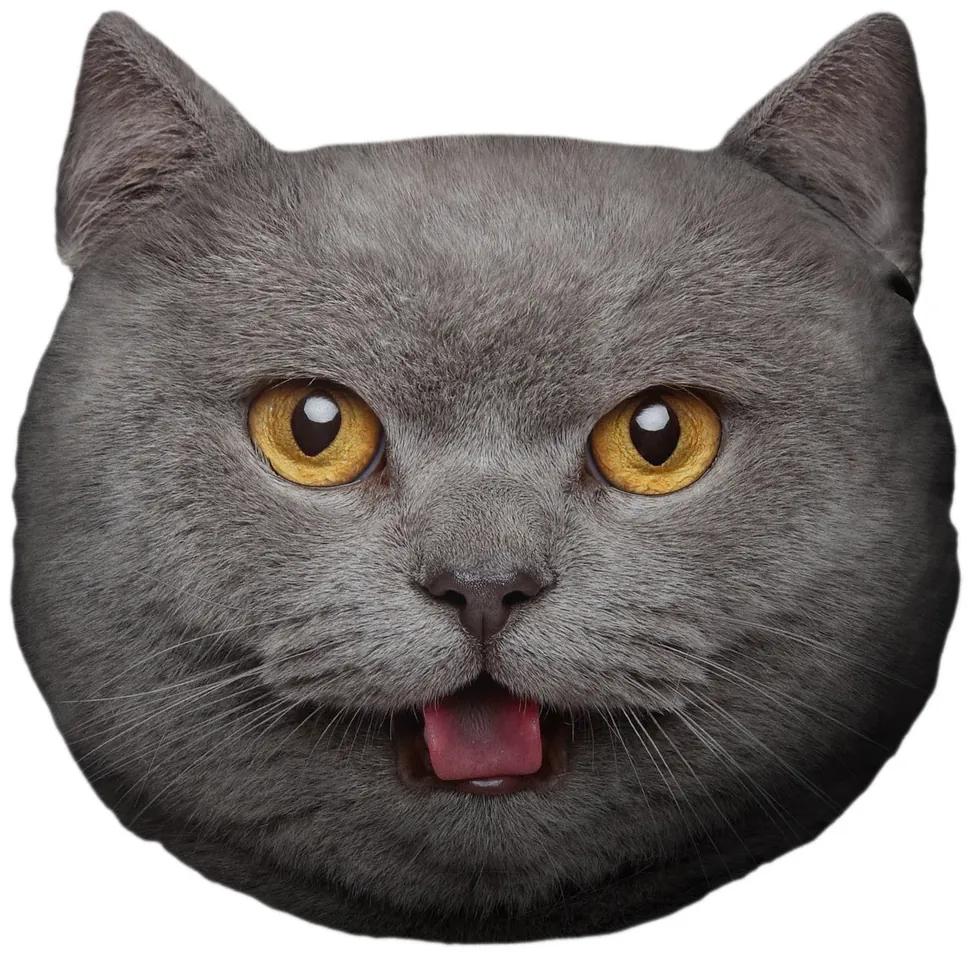 Kočičí hlava – Gray (Velikost kočičí hlavy: L)