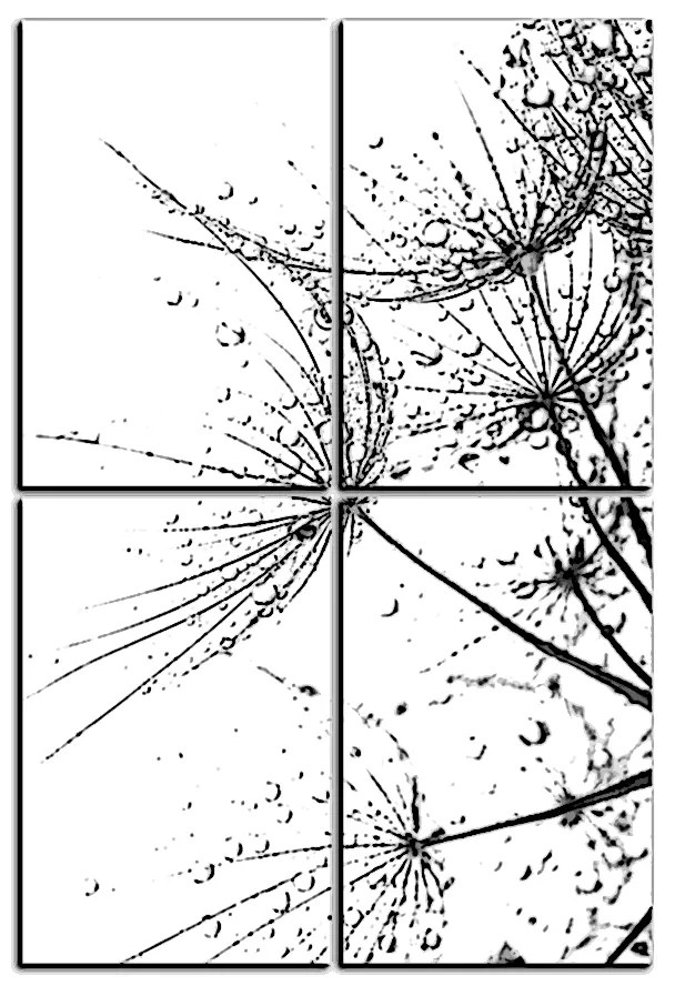 Obraz na plátně - Pampelišková semínka s kapkami vody - obdélník 7202QE (120x80 cm)