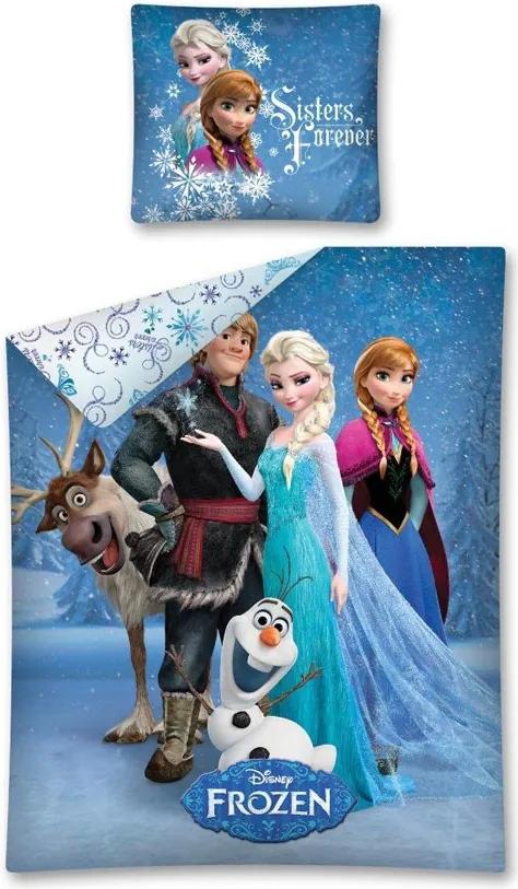 Svět pokojů Disney dětské povlečení - Frozen, ledové království | BIANO