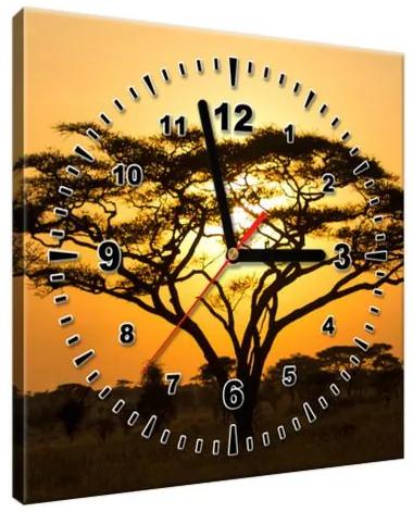 Tištěný obraz s hodinami Akácie v Serengeti 30x30cm ZP1249A_1AI