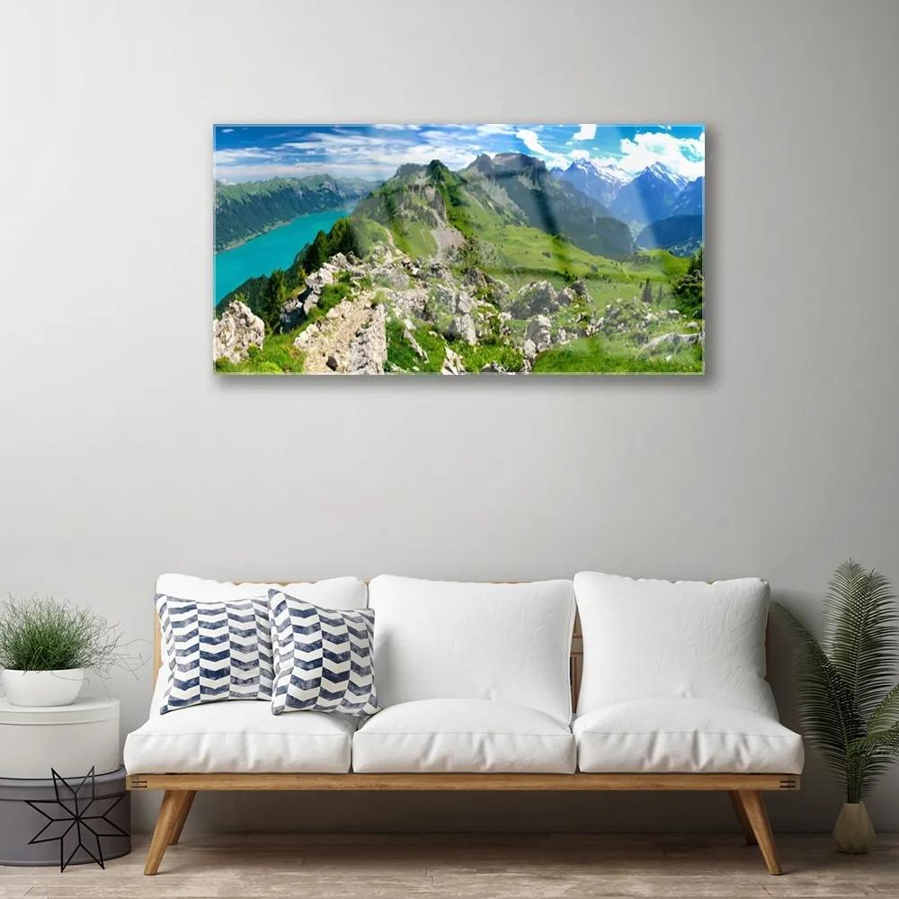 Obraz na skle Louka Hory Krajina Příroda 100x50 cm