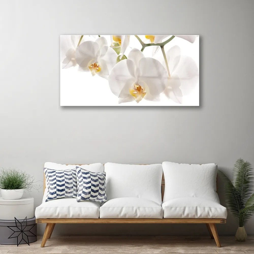 Obraz na skle Orchidej Květiny Příroda 100x50 cm