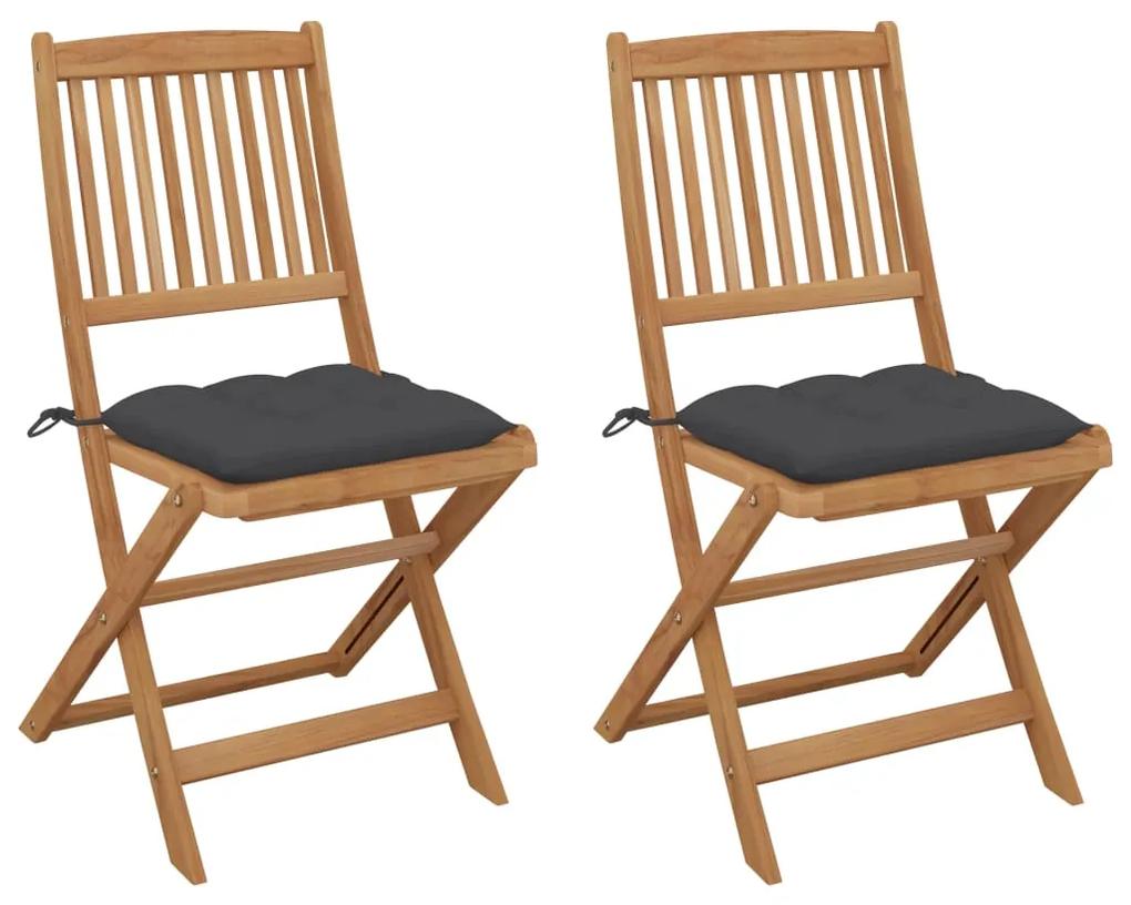 3064659 vidaXL Skládací zahradní židle s poduškami 2 ks masivní akáciové dřevo