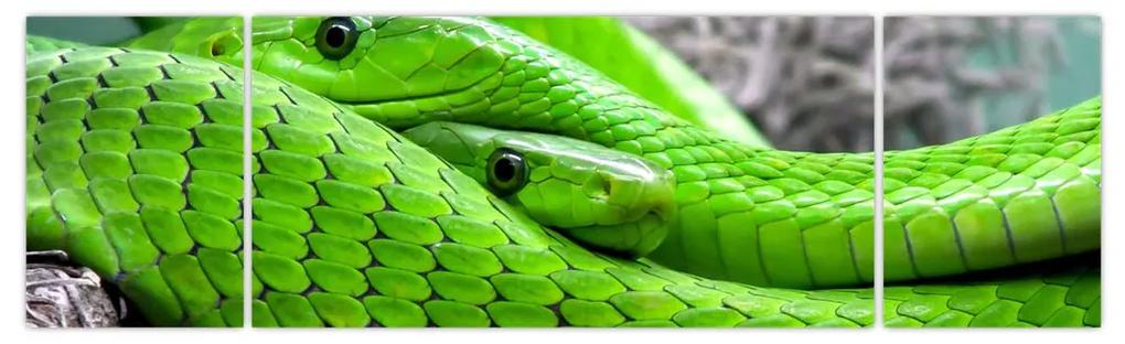 Obraz zelených hadů (170x50 cm)