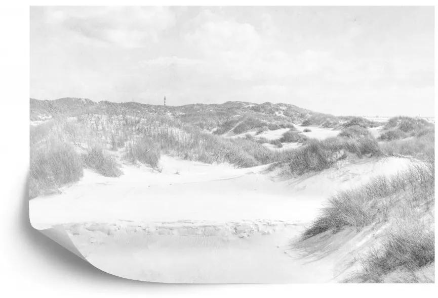 Fototapeta Dune Paradise Faded Vintage V Černé A Bílé Hladký vinyl 208x146