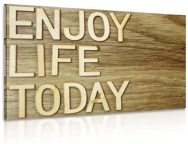 Obraz s citací - Enjoy life today - 90x60 cm