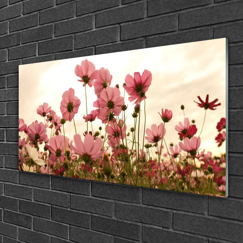 Obraz na skle Polní Květiny Louka Příroda 140x70 cm
