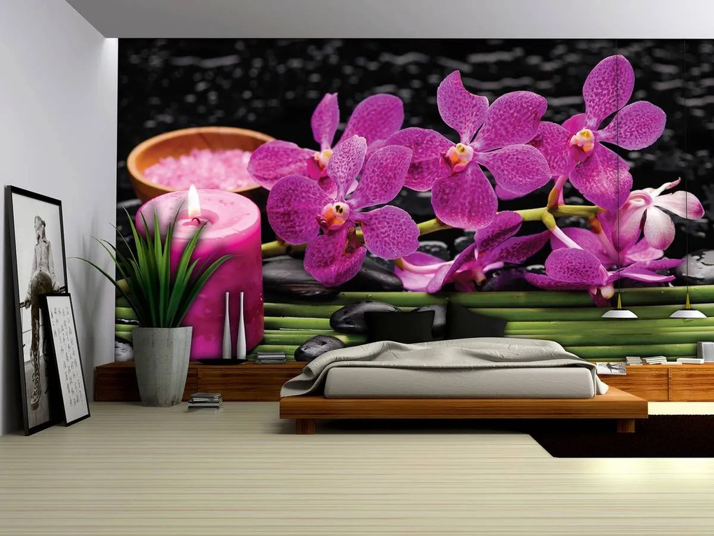 Fototapeta - Růžové orchideje (254x184 cm)