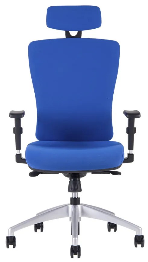 Office Pro Kancelářská ergonomická židle Office Pro HALIA SP – s podhlavníkem, více barev Šedá 2625