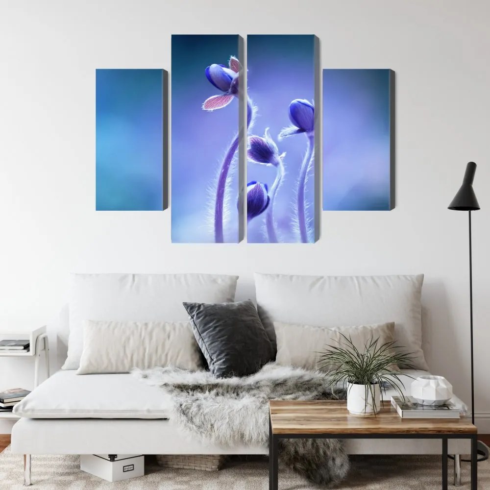Vícedílný obraz Jemné Květiny V Makro Měřítku Nedostatek Nedostatek Plátno Canvas 80x60