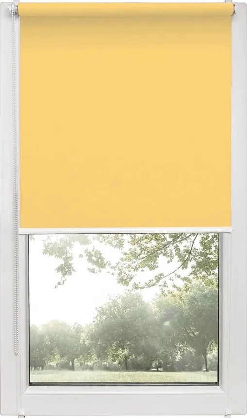 Roleta na okno - Decor D02 Barva ovládání: Bílá, šířka: 35, výška: 150