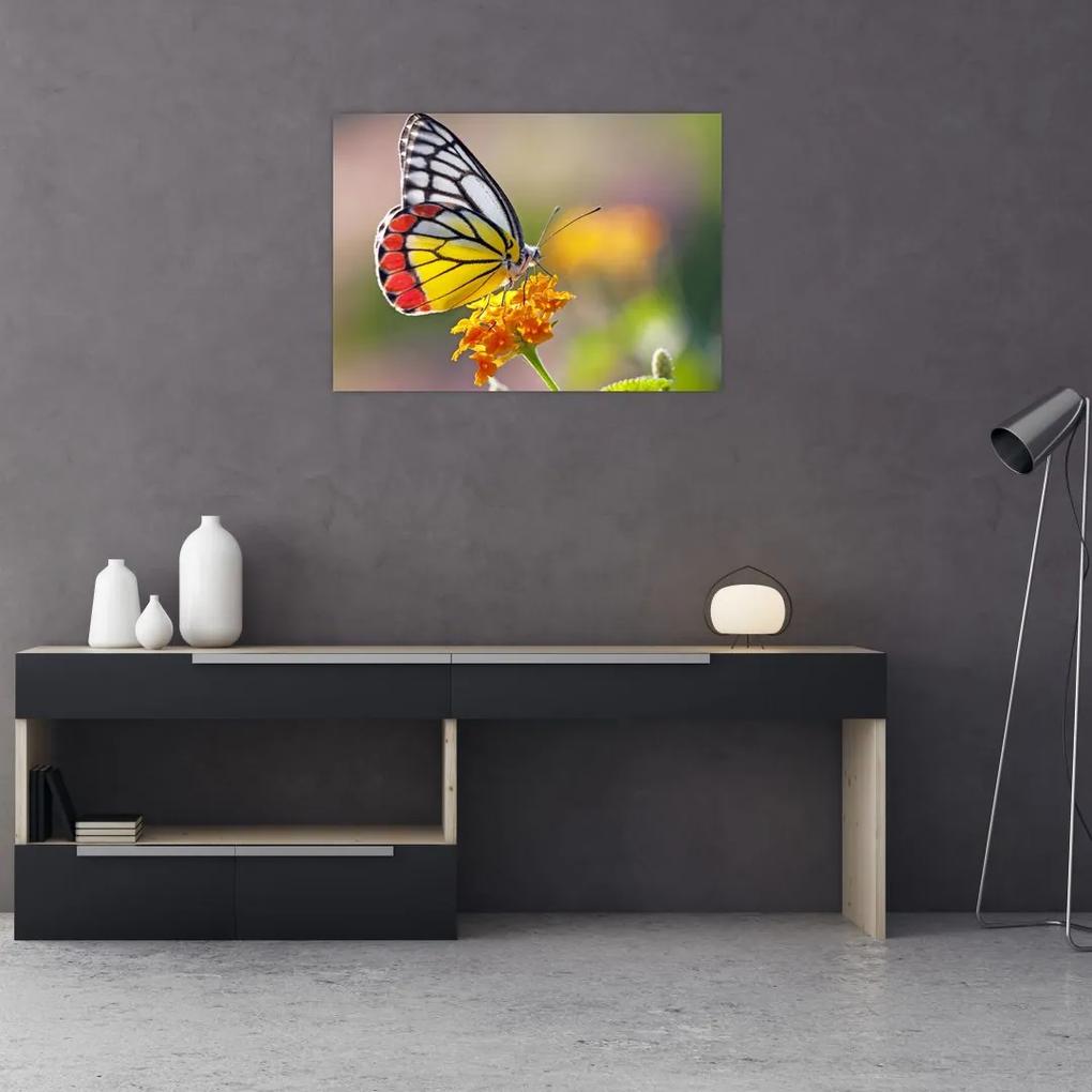 Skleněný obraz motýla na květu (70x50 cm)