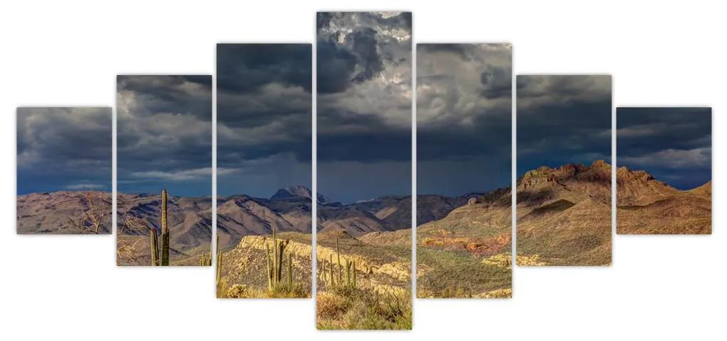Obraz - kaktusy v přírodě (210x100 cm)