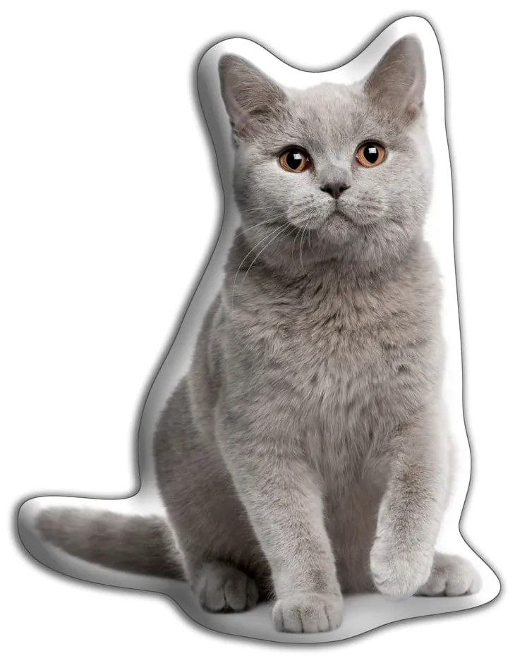 Polštářek s potiskem Britské krátkosrsté kočky Adorable Cushions