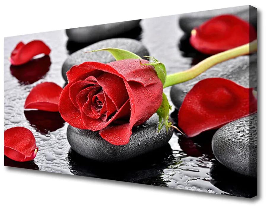 Obraz na plátně Růže Květ Kameny Zen 100x50 cm