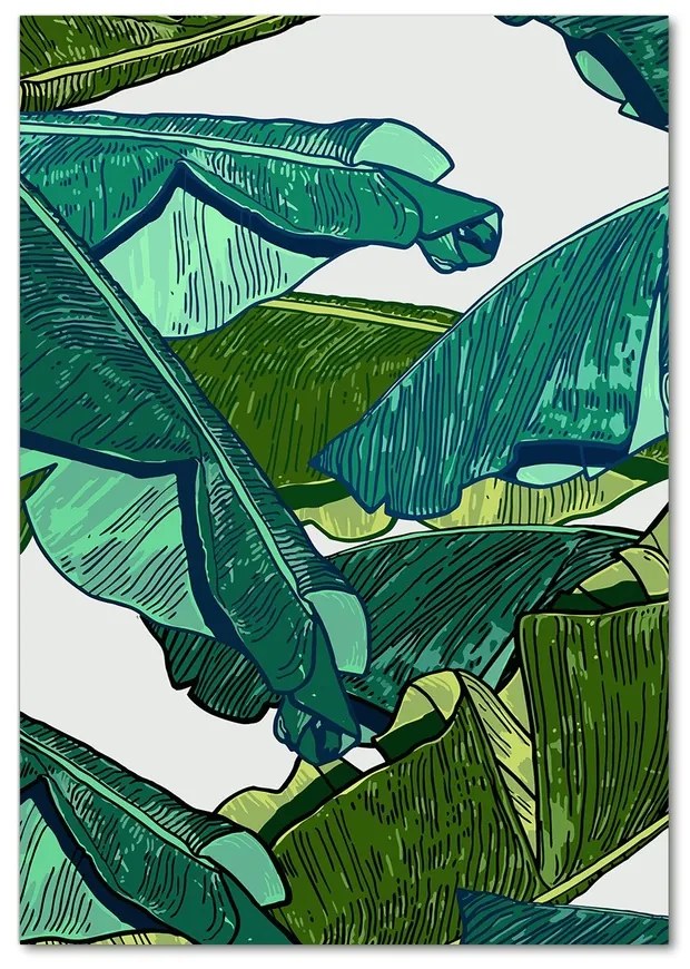 Wallmuralia Foto obraz skleněný svislý Listí banánovníku 70x100 cm