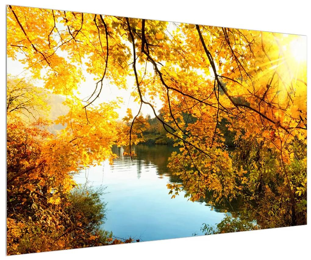 Podzimní obraz stromu (120x80 cm)