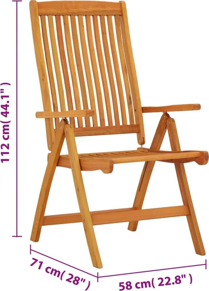 vidaXL Skládací zahradní židle 2 ks masivní eukalyptové dřevo [316069]