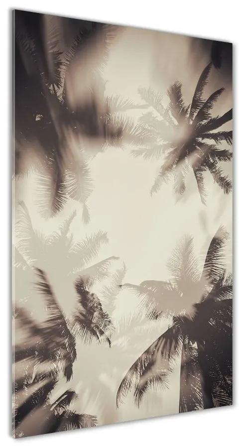 Wallmuralia Vertikální Fotoobraz skleněný na stěnu do obýváku Palmy 50x100